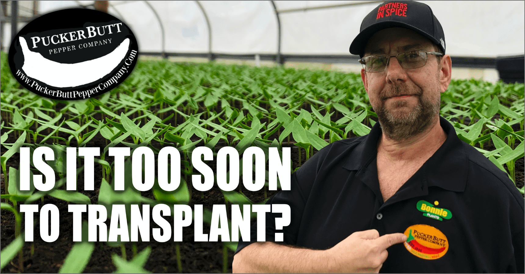 Event No. 4 - When Is Too Soon to Transplant? – PuckerButt Pepper Company