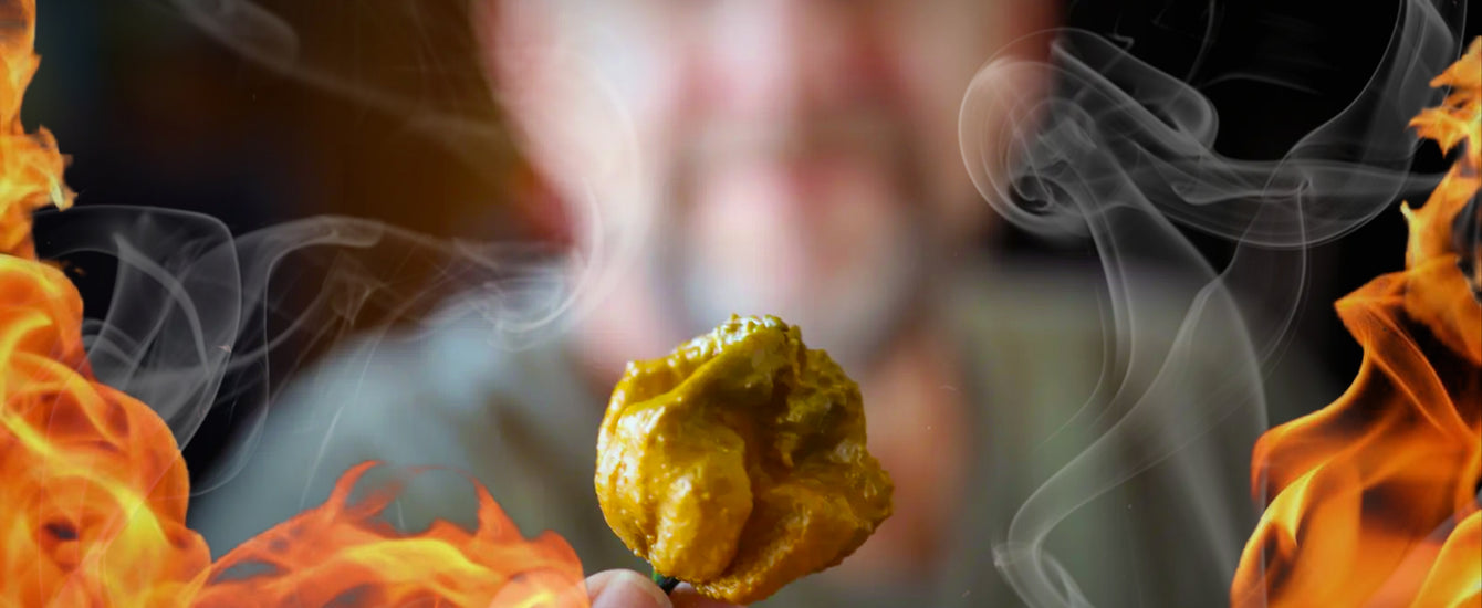 Pepper X Press – PuckerButt Pepper Company