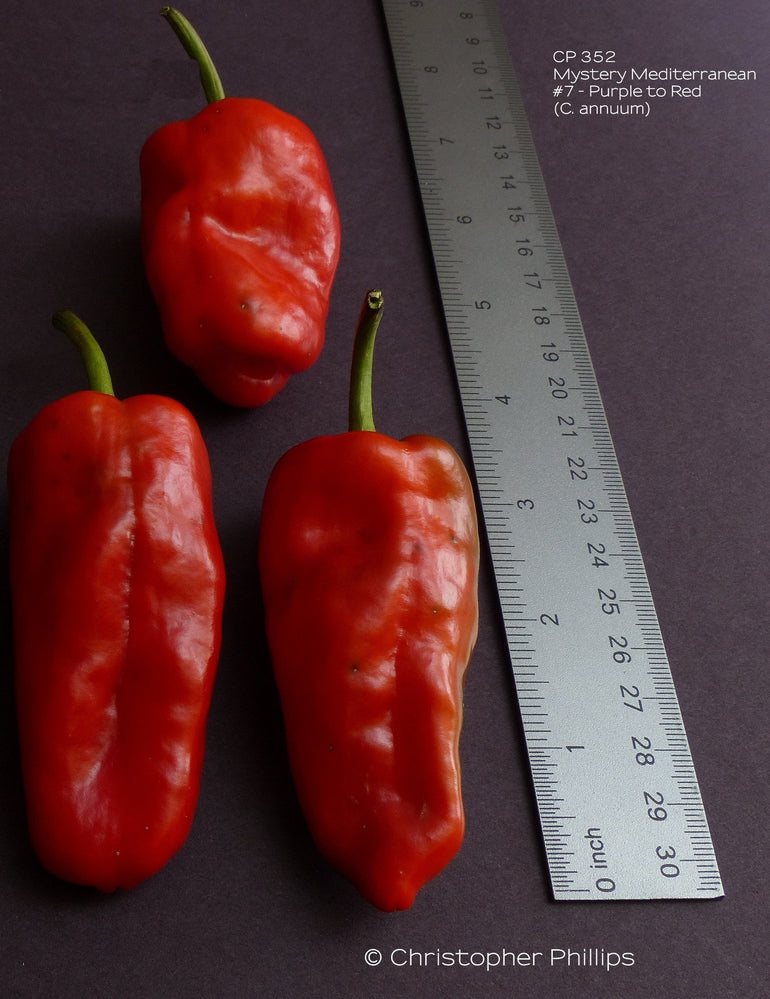 Seeds – PuckerButt Pepper Company